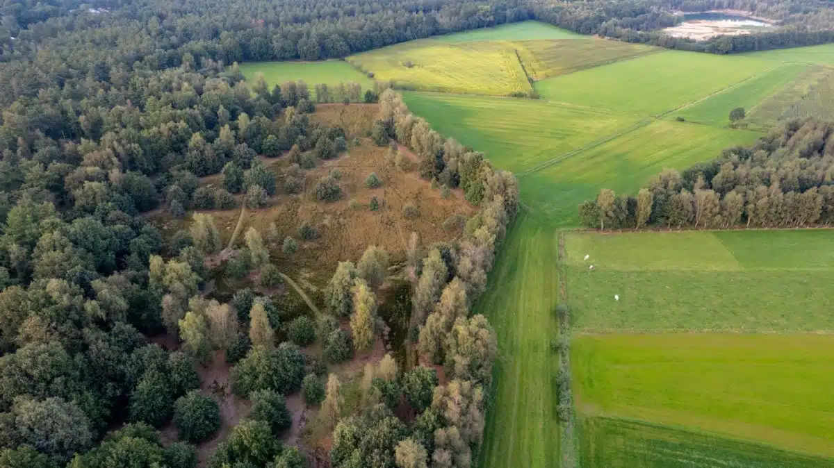 Enter to Win – Mathews ARC - Base Camp Country